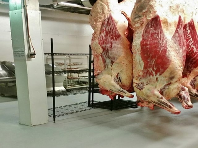 MMA Flooring Systems for Meat Processing Plants